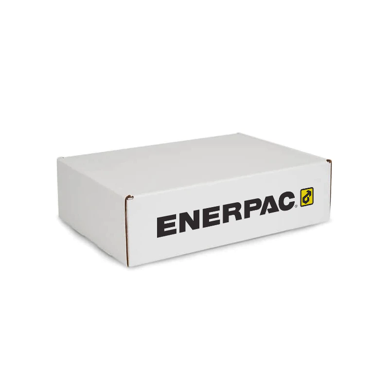 Enerpac RCS201K50 Reparatursatz – Globus Hebetechnik